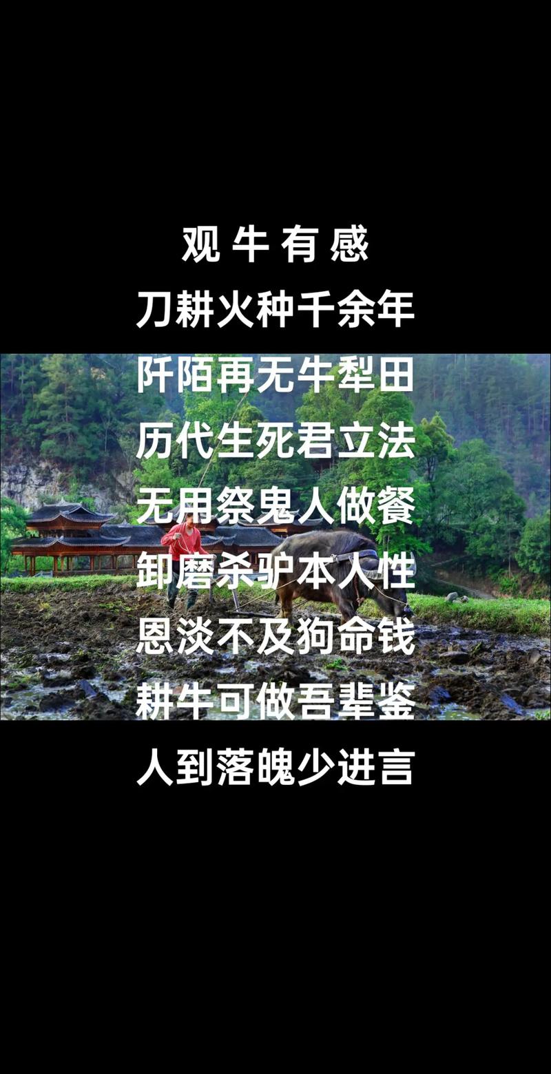 杀牛口诀顺口溜图标
