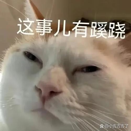 我想不出来的梗截图