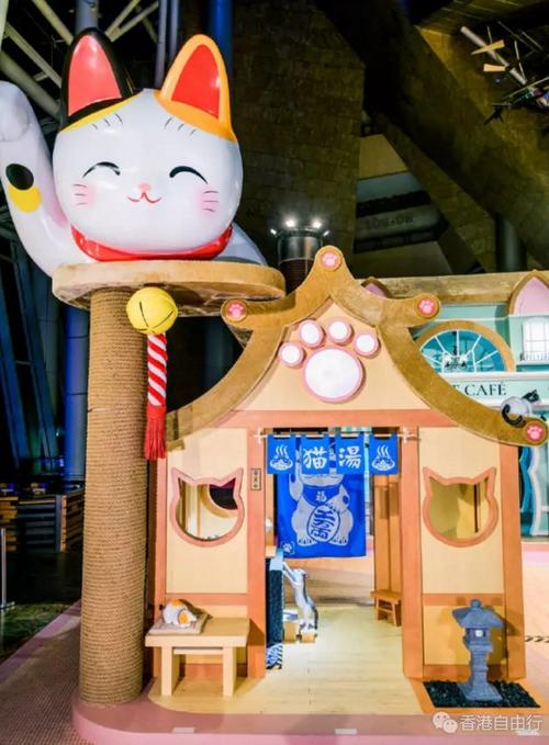 猫咪王国动画片哪里能看图标