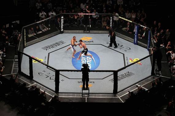 安卓终极格斗ufc离线版图标