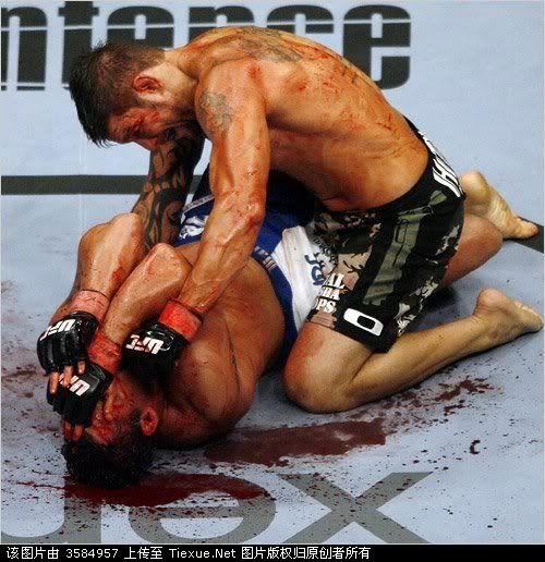 ufc终极格斗在线观看图标