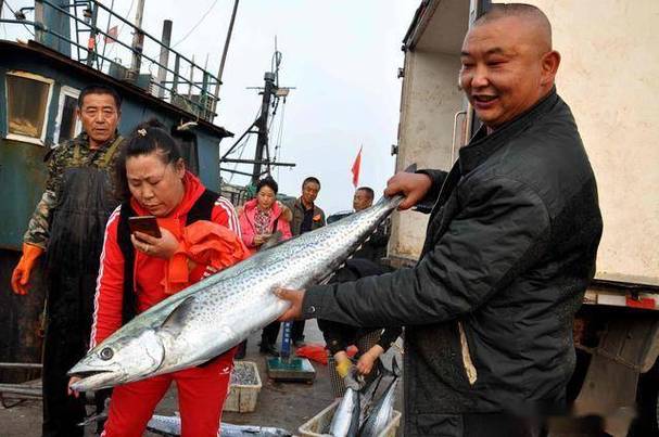 鲅鱼鱼捞图标