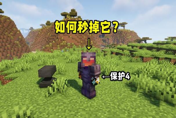 我的世界保护四