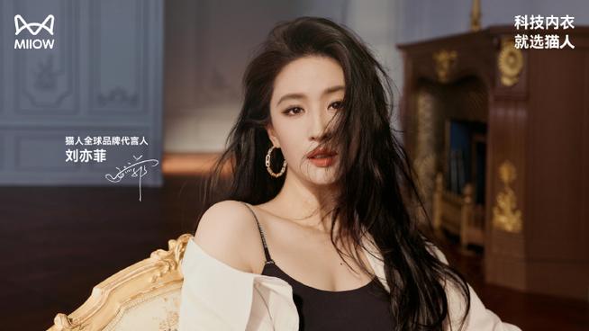 名品猫的品牌代言人图标
