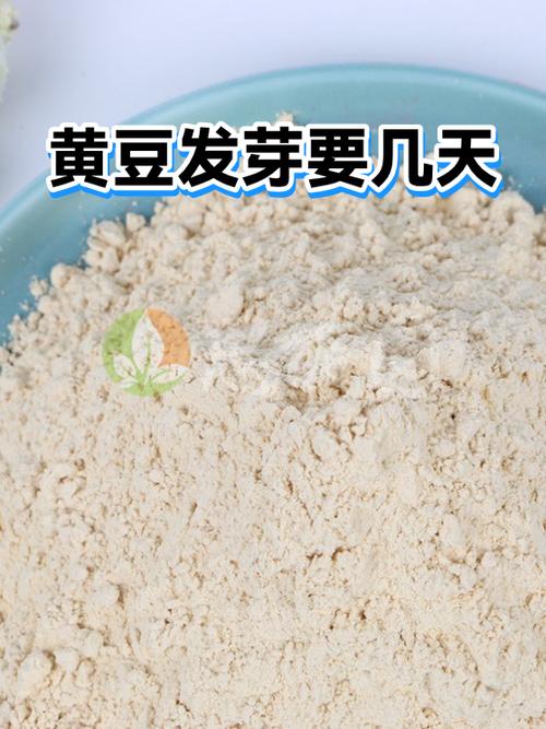 黄豆放土里几天能发芽图标