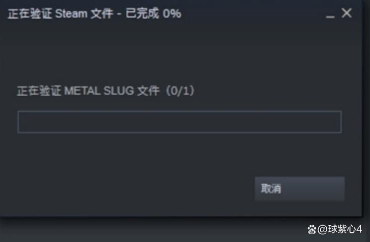 断网玩steam单机图标
