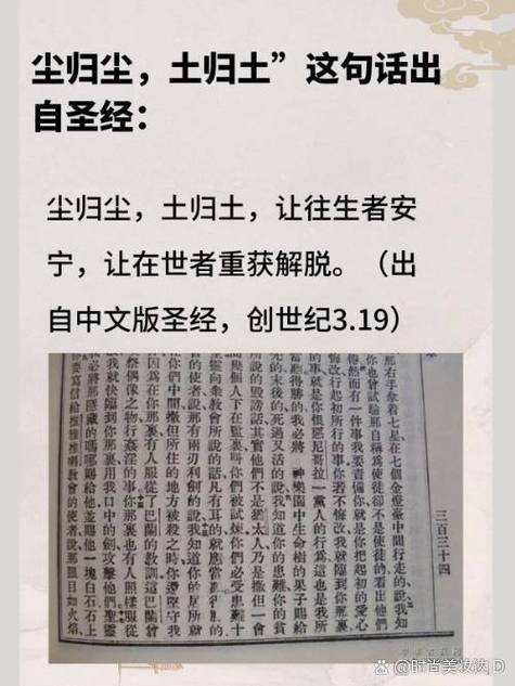 圣经中文全文图标