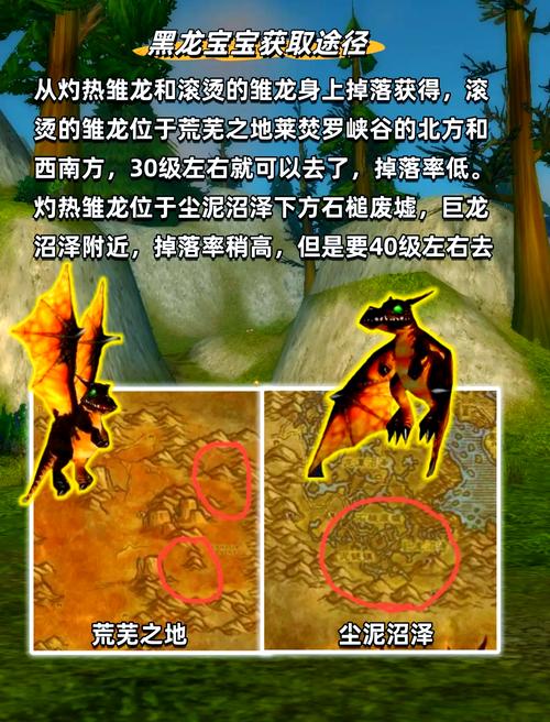 黑龙宝宝哪里掉率高截图
