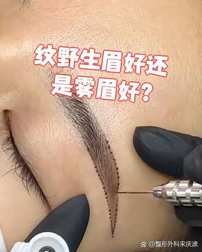 做野生眉好还是雾眉好图标