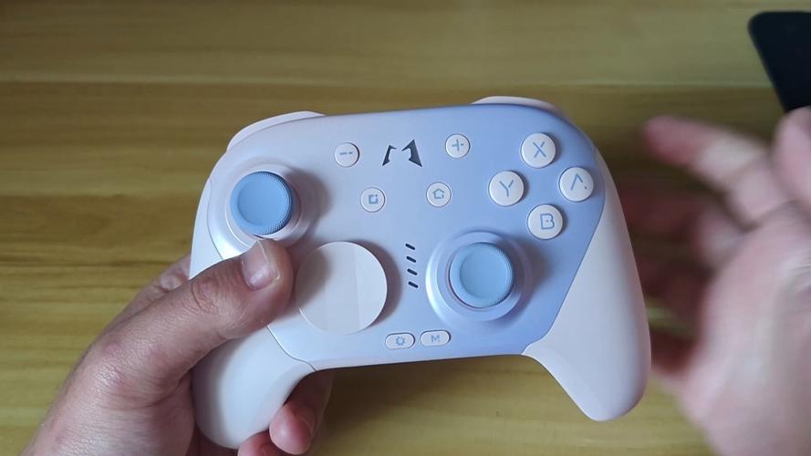 Switch手柄第三方游戏截图