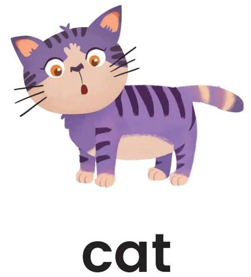 cat1什么简称图标
