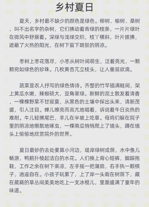 乡村夏日阅读答案图标