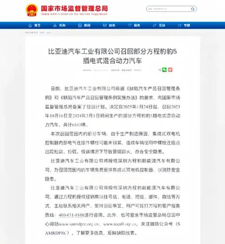 比亚迪被授权车辆图标