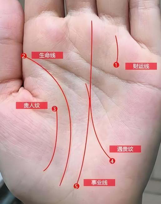 男人左手三条线图解图标