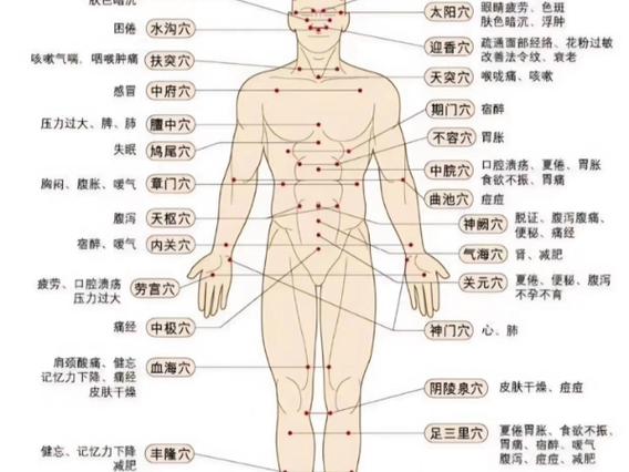 人全身穴位图图标