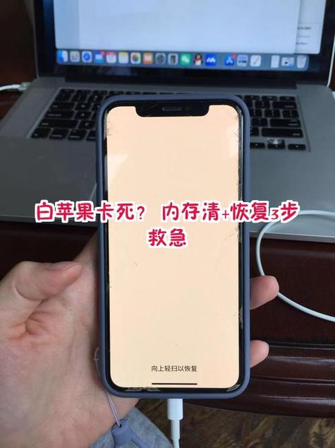 苹果一直卡白苹果开不了机图标