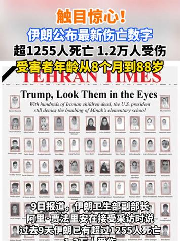 伊朗公布最新伤亡数据截图
