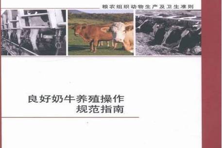 自己养奶牛怎么养