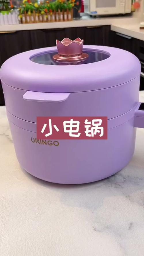 小型电烧锅图标