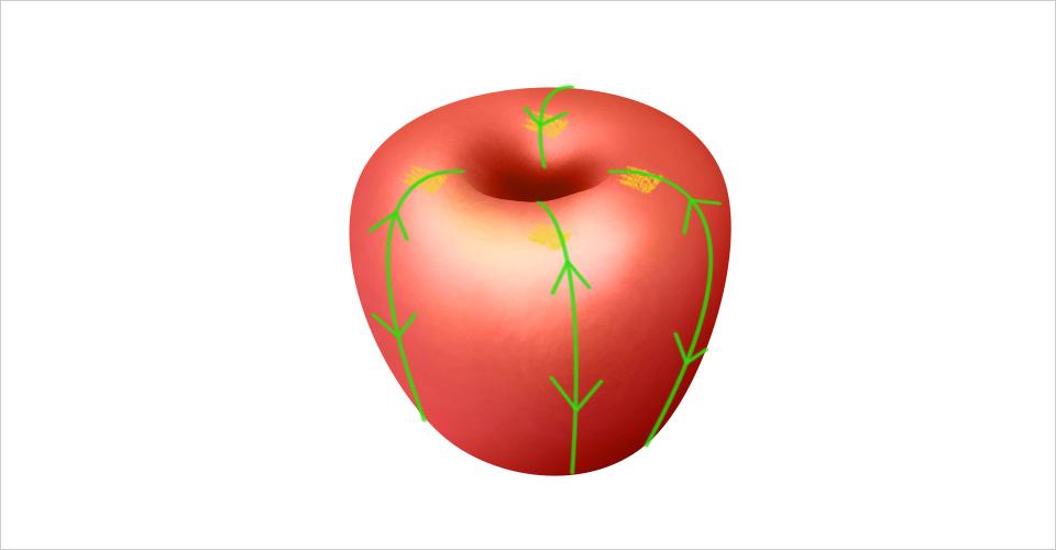 ps加深减淡工具图标