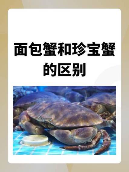 珍宝蟹和面包蟹的区别图标