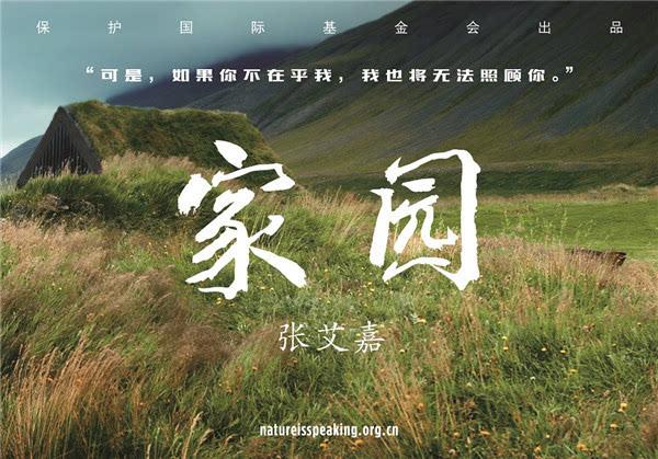 家园中文版图标