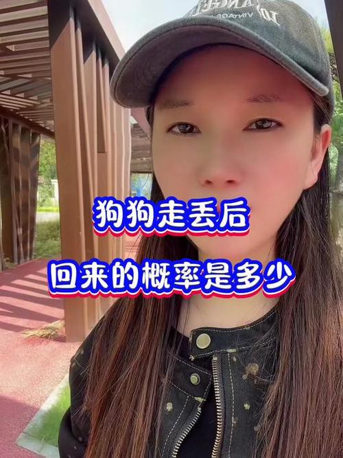 狗走失了能回来吗
