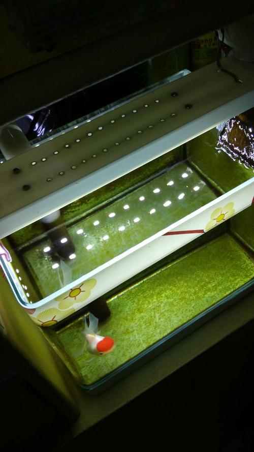 自制鱼缸灯制作方法图图标