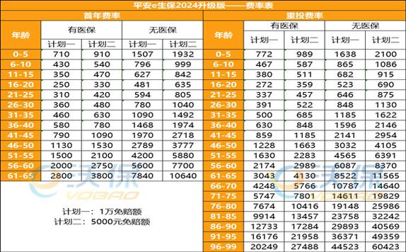 轻松保一年交多少钱