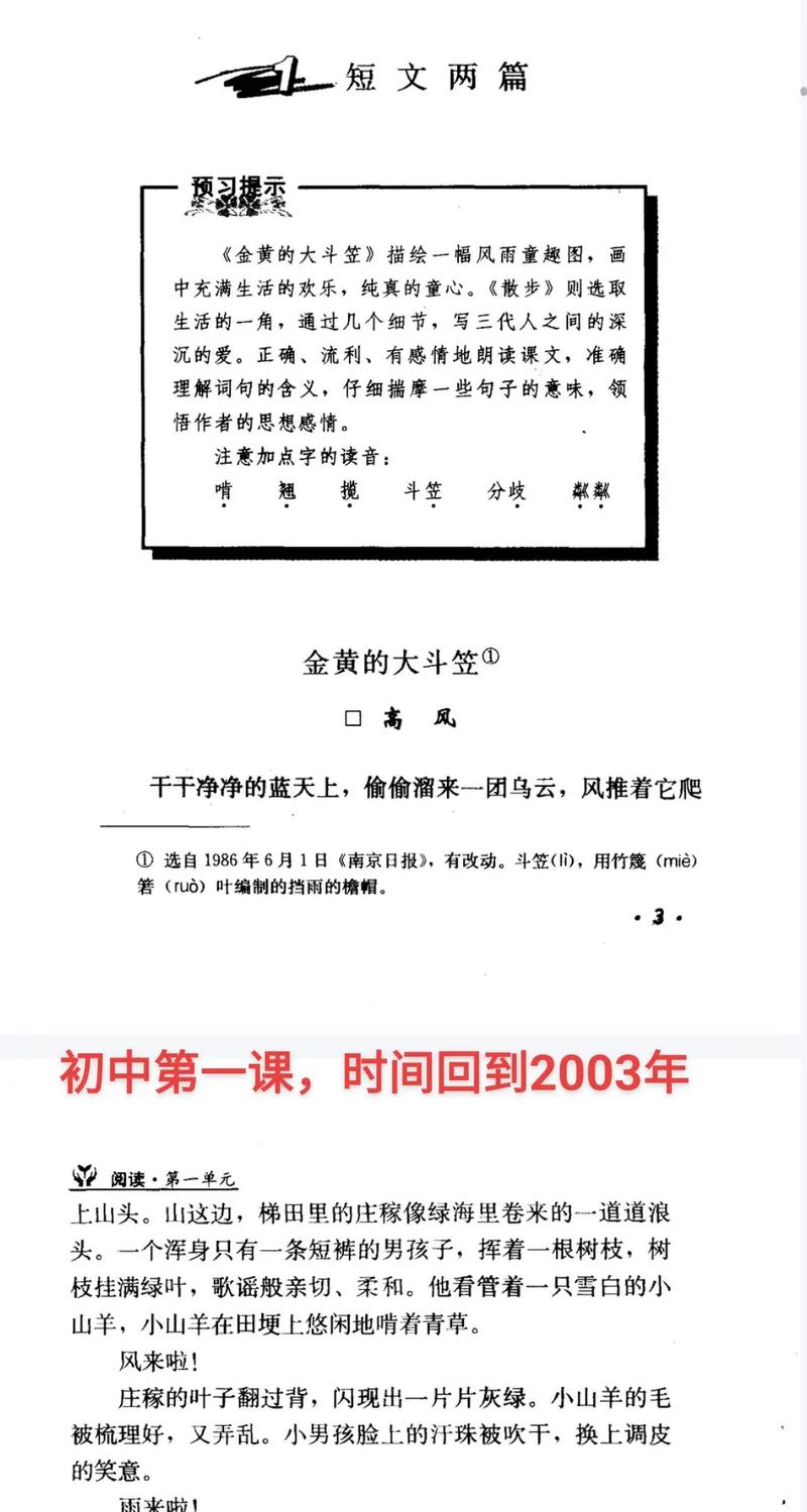 大夏纪最新章节截图