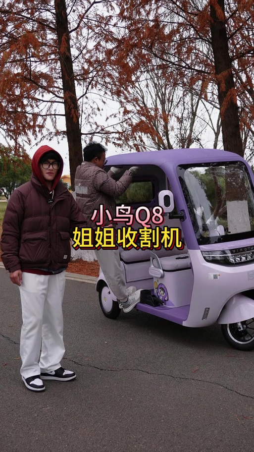 小鸟电动车三轮车价格及图片大全集