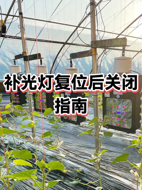 关闭自动补光的方法图标