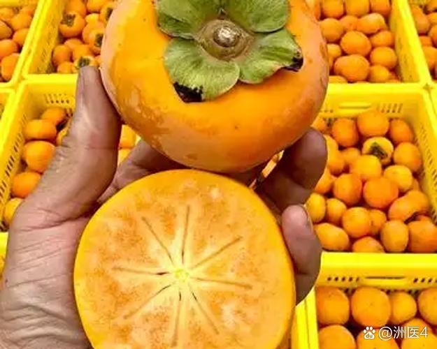 有柿是什么平台?图标
