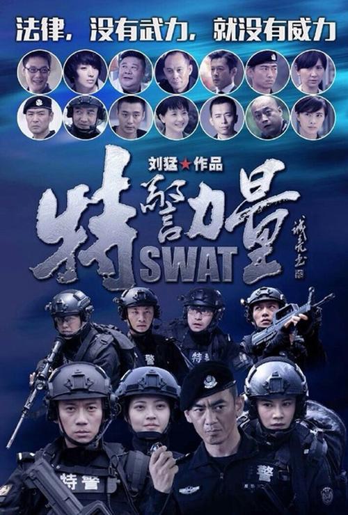 中国特警实力图标