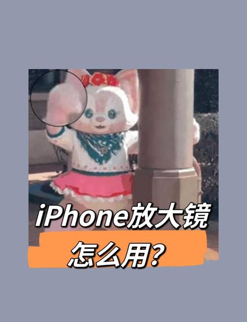 苹果相册的放大镜功能在哪图标