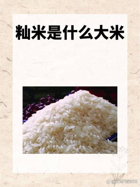大米是什么做的截图