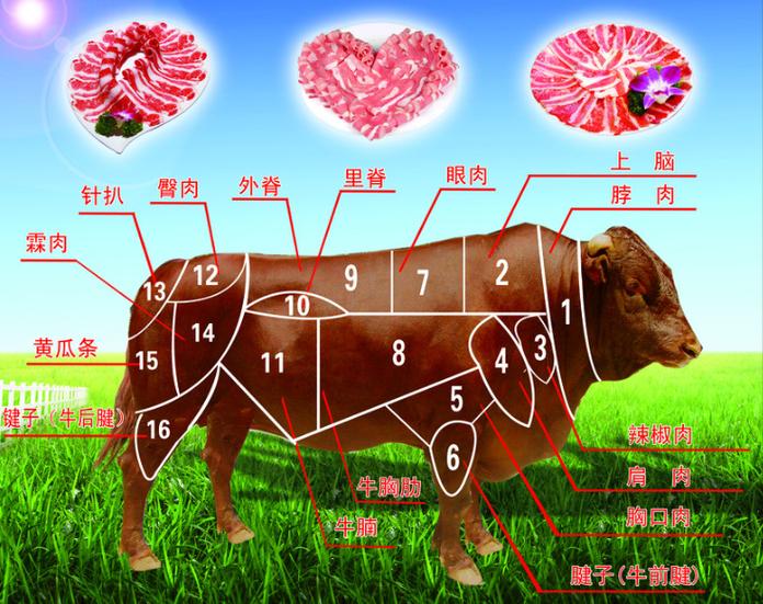 牛肉分解图高清大图截图