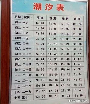 渤海湾潮汐表截图