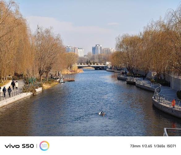 vivo手机能拍live图片吗截图