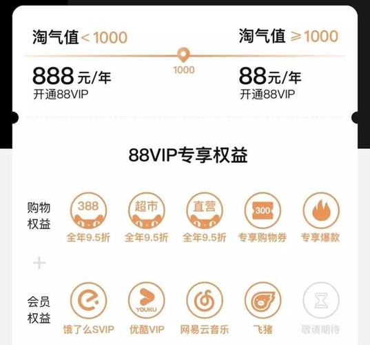 88会员怎么开通图标