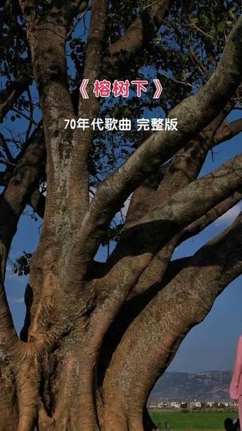 七十年代歌曲经典歌曲图标