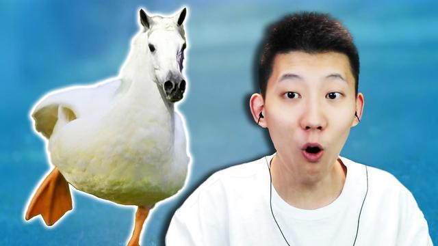 鲤鱼动物融合模拟器图标
