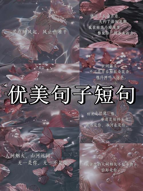 意境美到极致的句子图标