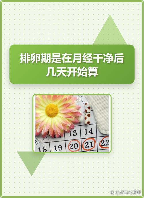 月经干净几天开始排卵截图