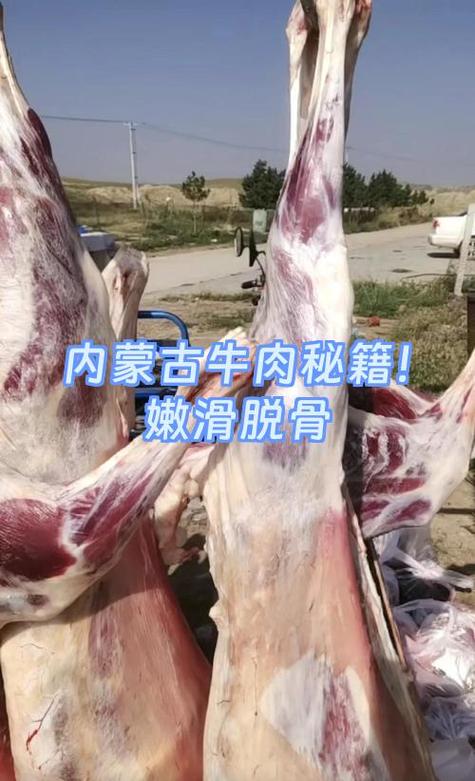 牛肉怎么炒又嫩又滑图标