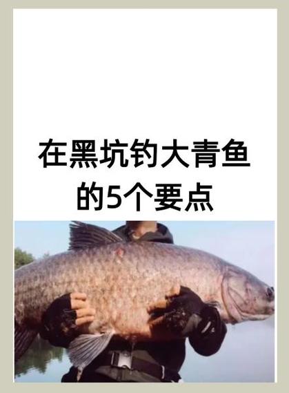 青鱼怎么钓最好图标
