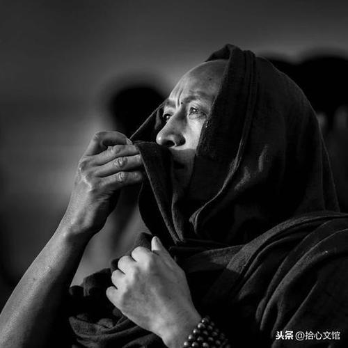 当代人生1.8.0折相思缩略图