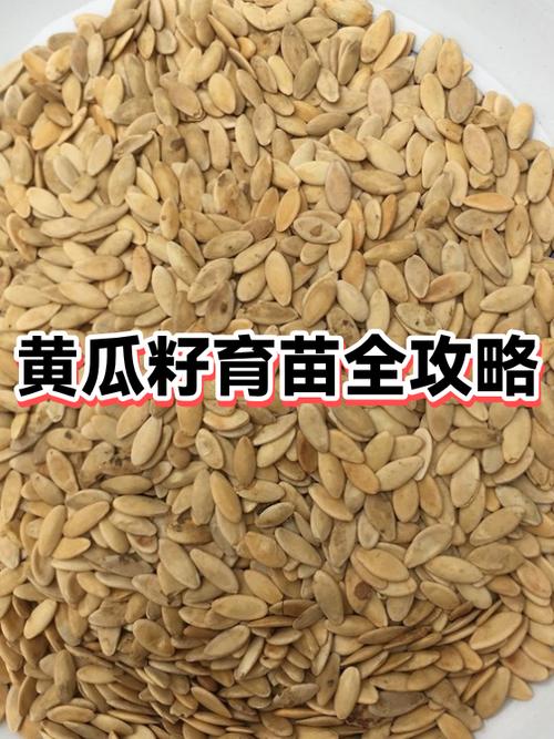 黄瓜籽皮有用吗图标