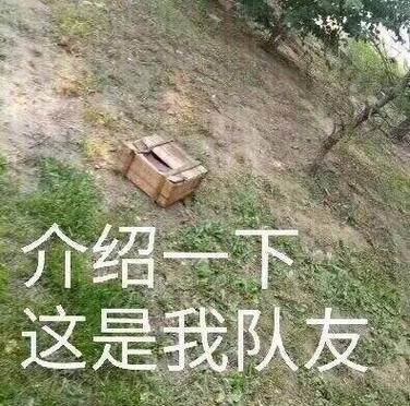 吃鸡盒子表情包