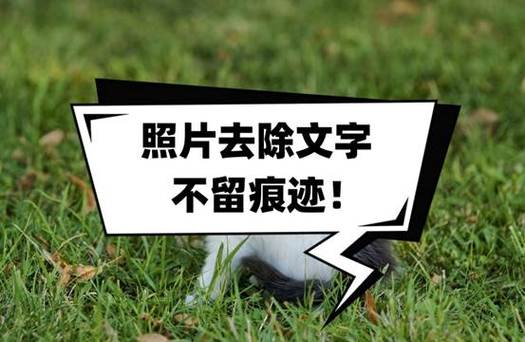 去掉纸上的字不留痕迹图标